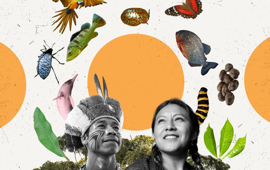 The participation of Indigenous Peoples is crucial for an effective Fund for responding to Loss ...